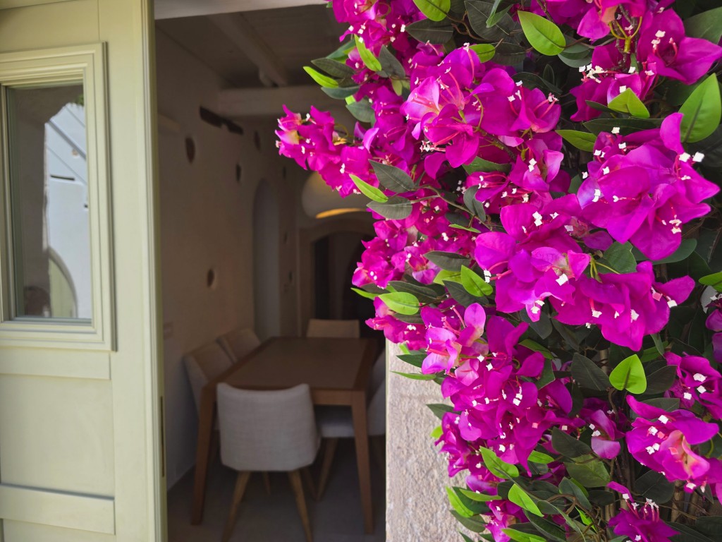 MINT VILLA | ΠΟΥΛΑΚΑΚΗΣ ΤΕΧΝΗΤΑ ΑΝΘΗ